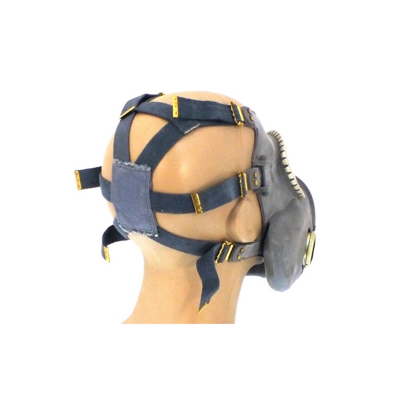 MP-4 gas mask "Buldog"