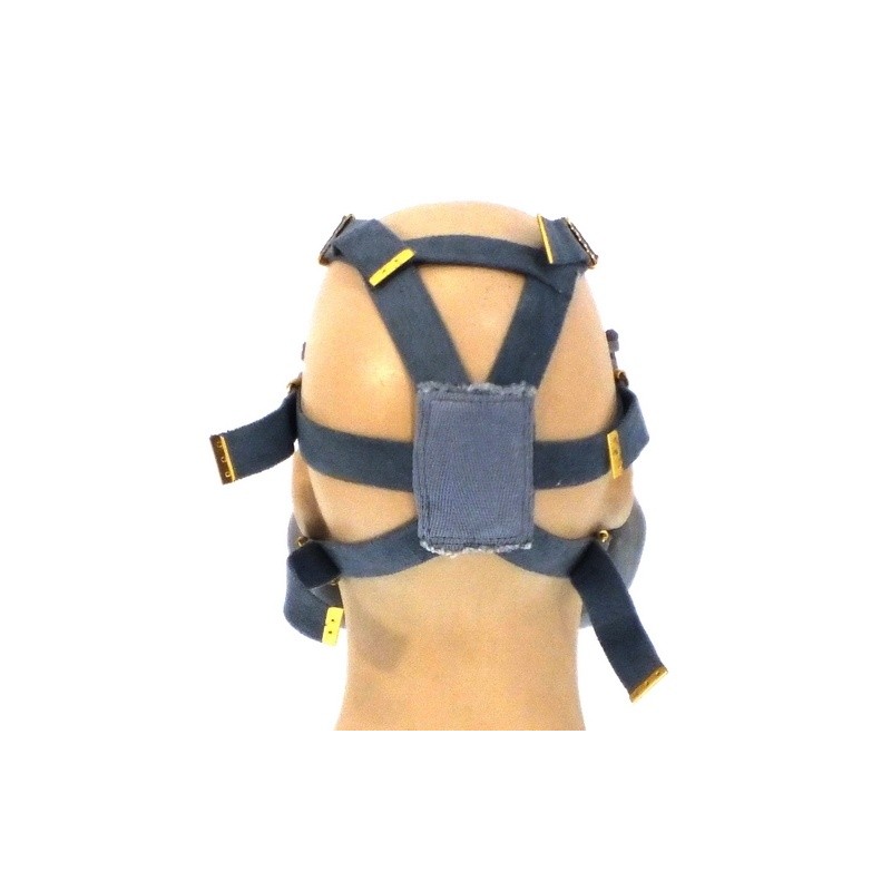 MP-4 gas mask "Buldog"