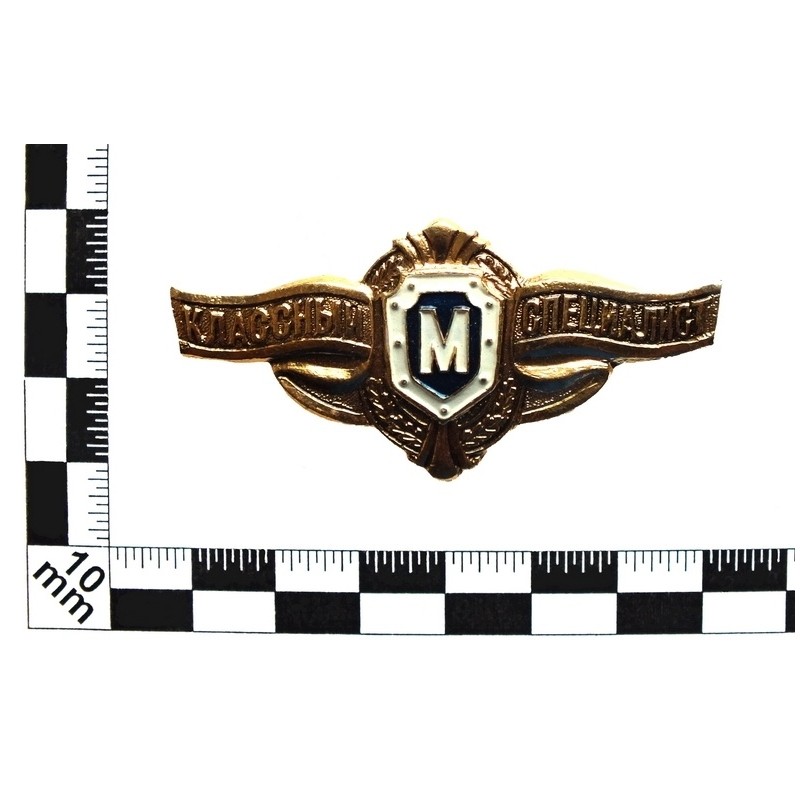 Badge "Master Class Specialist" for soldiers