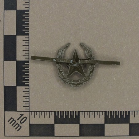 Insignia/badge "Motorized Infantry" and "Internal Forces" - field