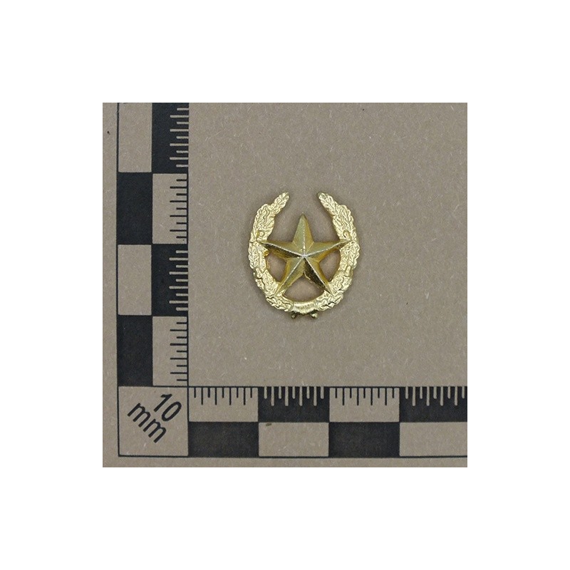Insignia/badge "Motorized Infantry" and "Internal Forces" - gold