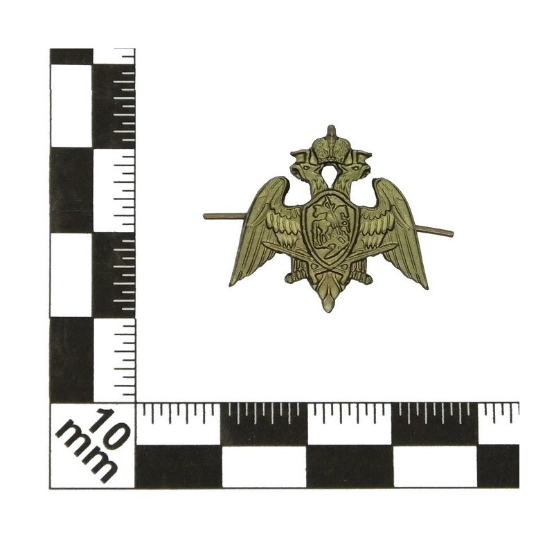 "RosGuard" branch insignia, field