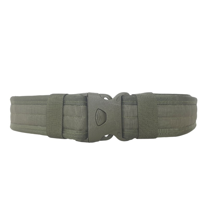 FRP Main belt, Olive