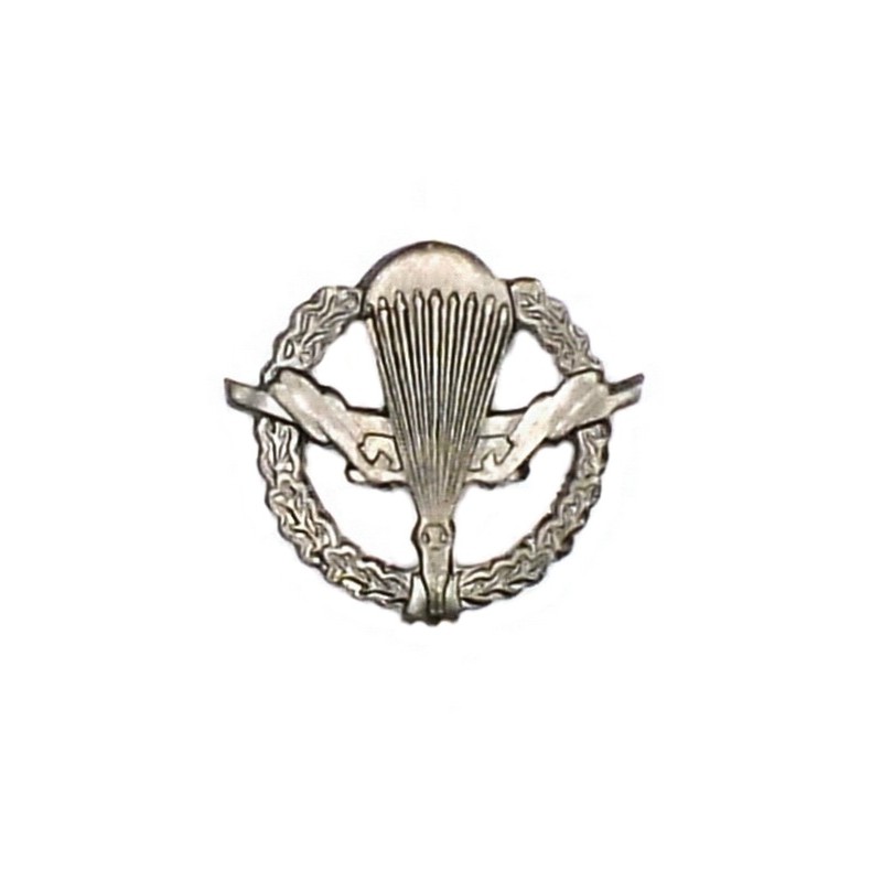 "VDV" (Airborne) branch insignia, new model, field